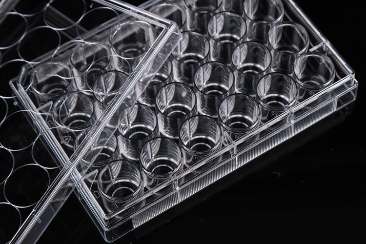 Glass Bottom 35mm Cell Culture Dish With 15mm/20mm Slide- 10 Laser Labs