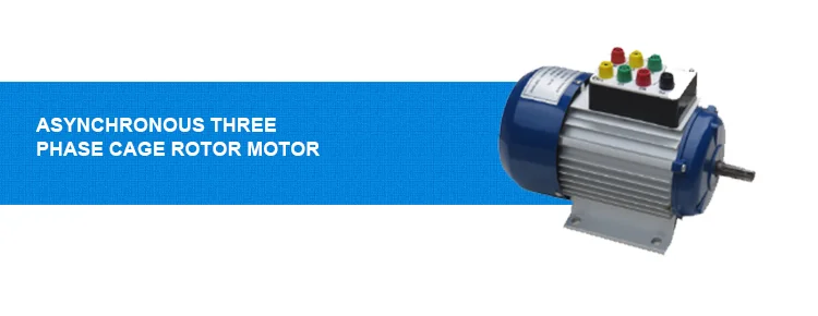 Asynchronous Three Phase Cage Rotor Motor Didactic Equipment Vocational ...