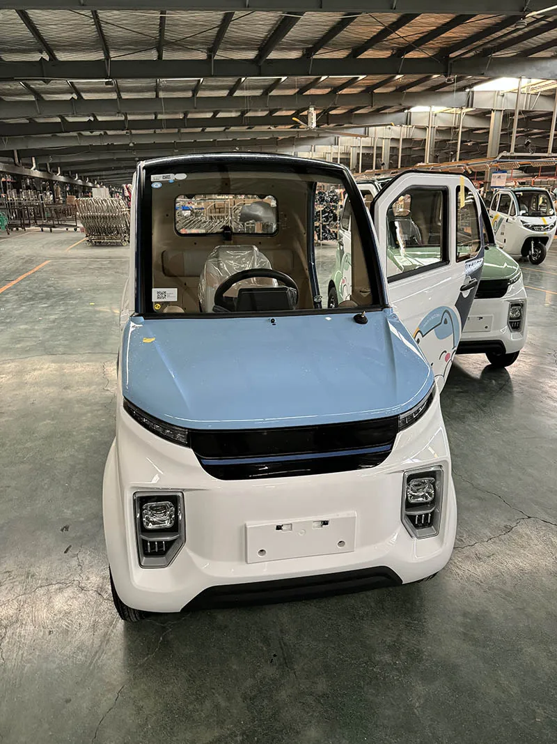 Oem Adult E-car For Elderly In Pakistan / Low Price 2 Door Taxi Ev ...