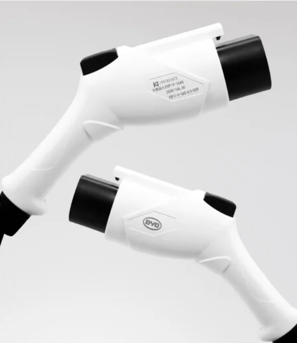 BYD EV Charging Station - 7kw Wallbox with 5 Meter Cable