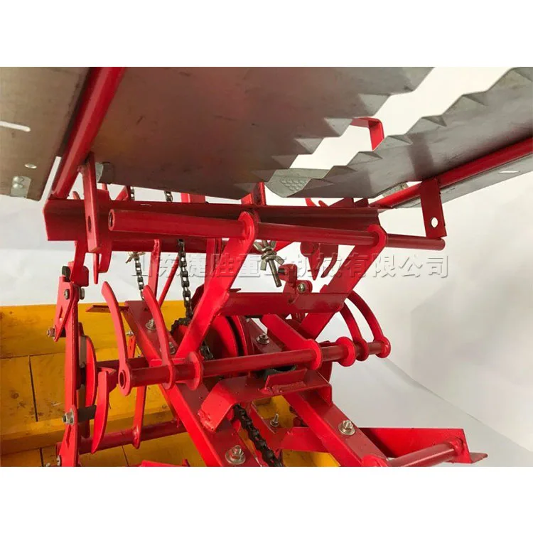 Small Hand-cranked Rice Transplanter Double-row Manpower Step-back Rice ...