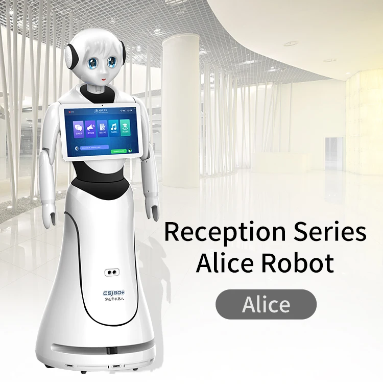 CSJBOT Alice Humanoid Robot Kit - Intelligent & Versatile