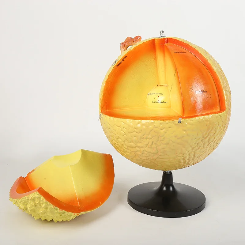 Geography Sun Globe Model - Earth Structure Visualization