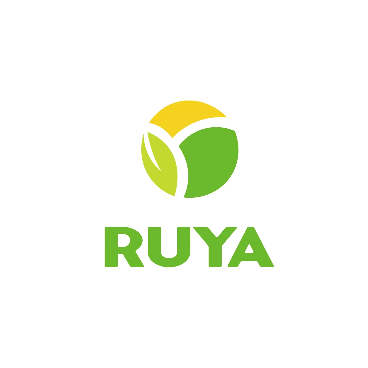 公司概述 - Chongqing Ruya Technology Co., Ltd.