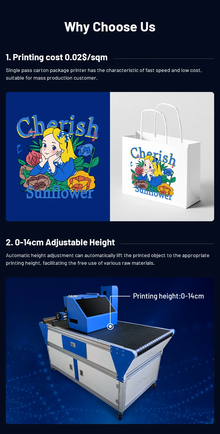 Dual Head One Pass Digital Carton Package Printer Corrugated Carton Box ...