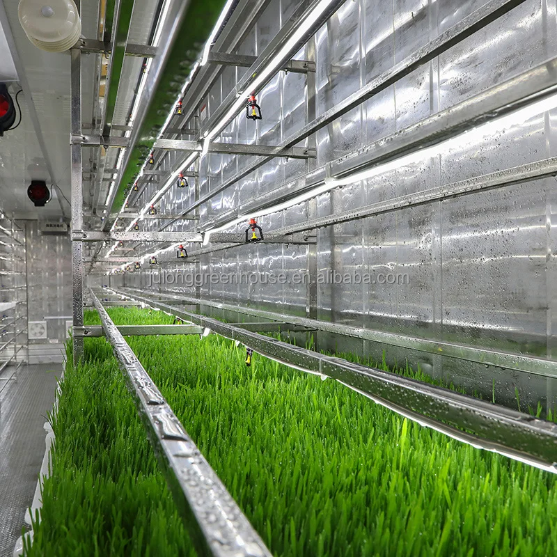 Shipping Container Farm Vertical Farming System Hydroponic Fodder Grass ...