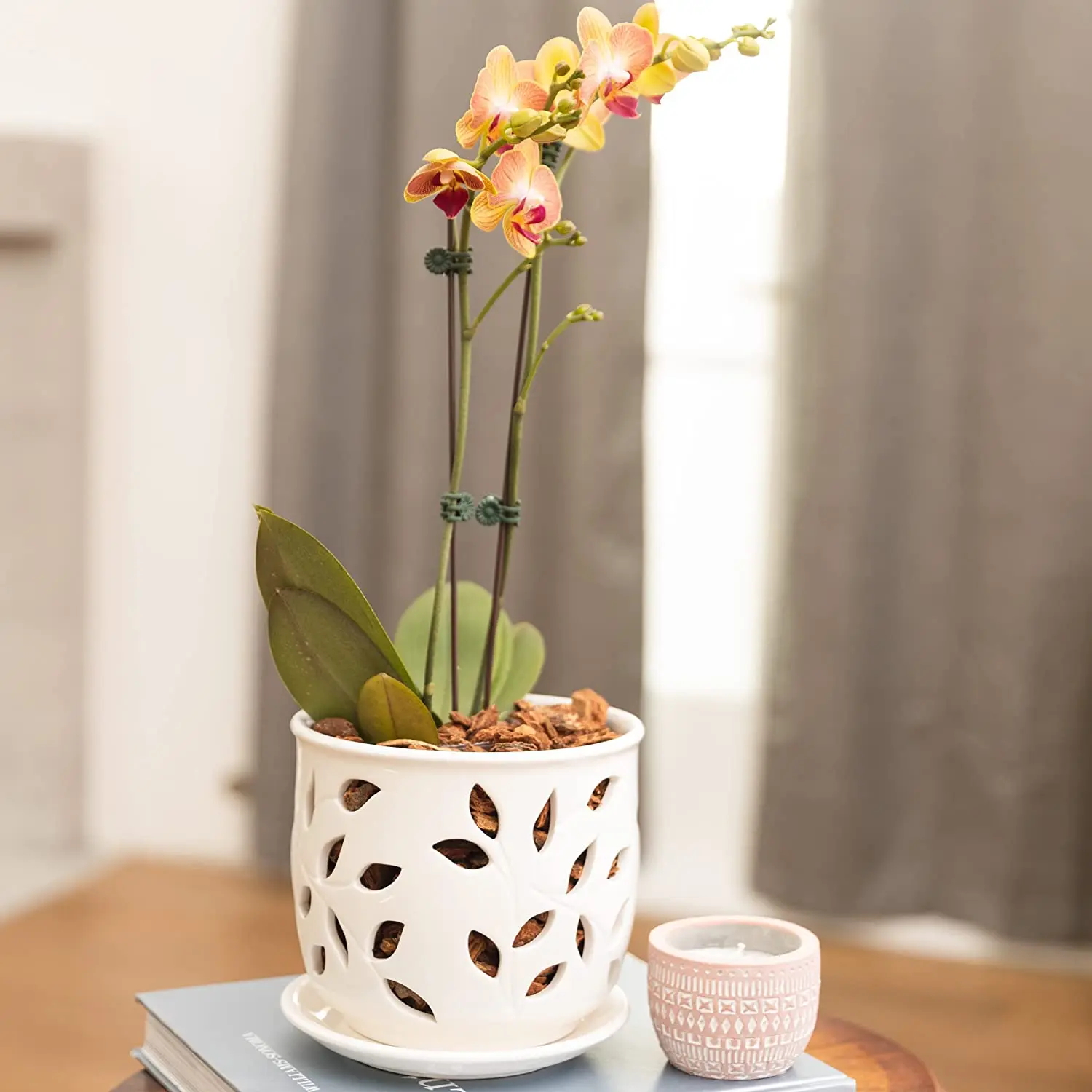 Ceramic Orchid Pot with Saucer - Attractive Floral Design