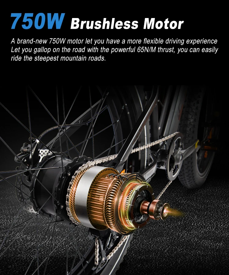 Electric Bicycle 26 Inch 48v 750w Rear Motor Powerful Ebike Fat Tire ...