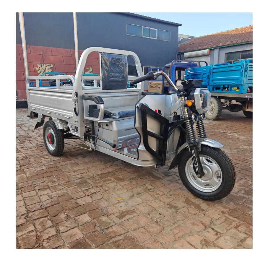 Alibaba.com: 1000W 2000W 60V electric cargo tricycle kit with ...