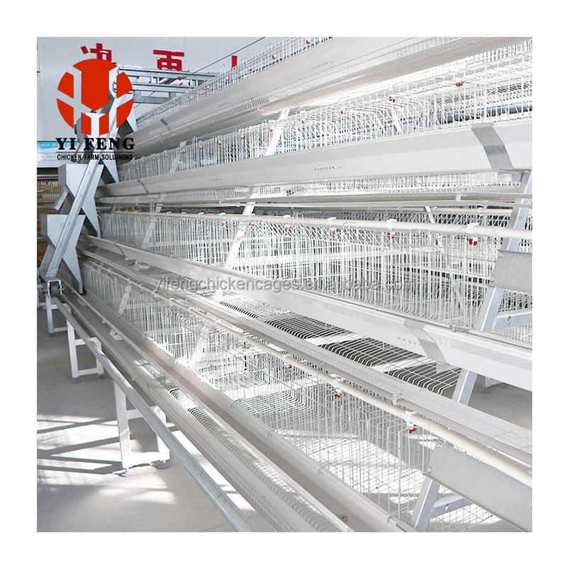 Good Price Automatic Poultry Farm A Type 5000 Birds Laying Hens Battery ...