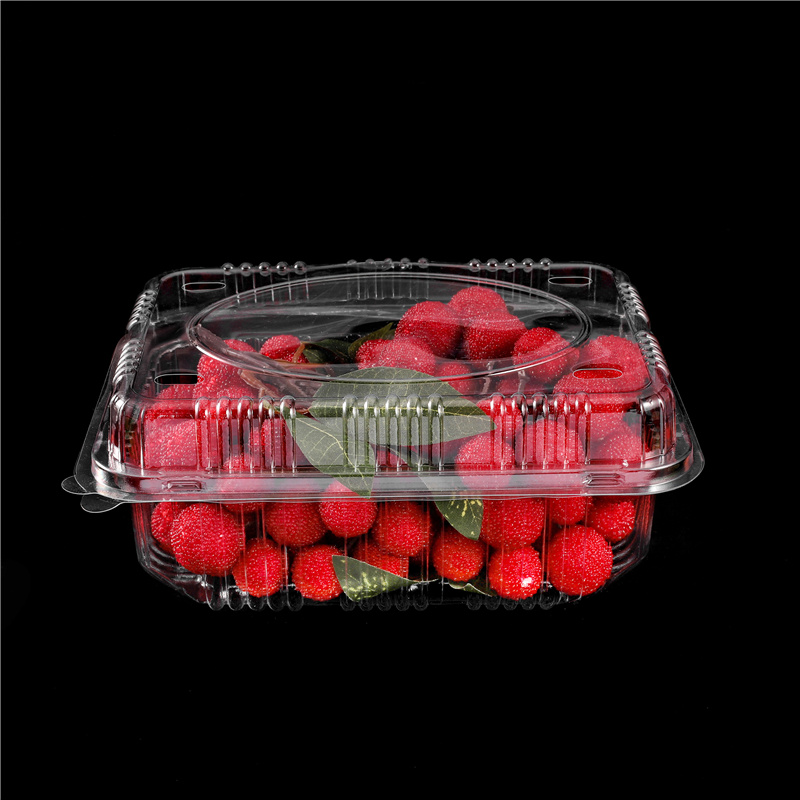 Transparent Fruit Clamshell Boxes - Perfect for Cherry Tomatoes and Grapes