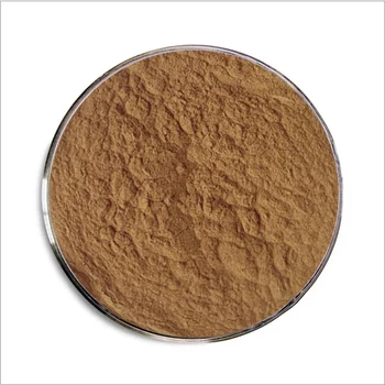 Vitex Agnus Castus Extract Chaste Tree Berry Extract Chasteberry ...