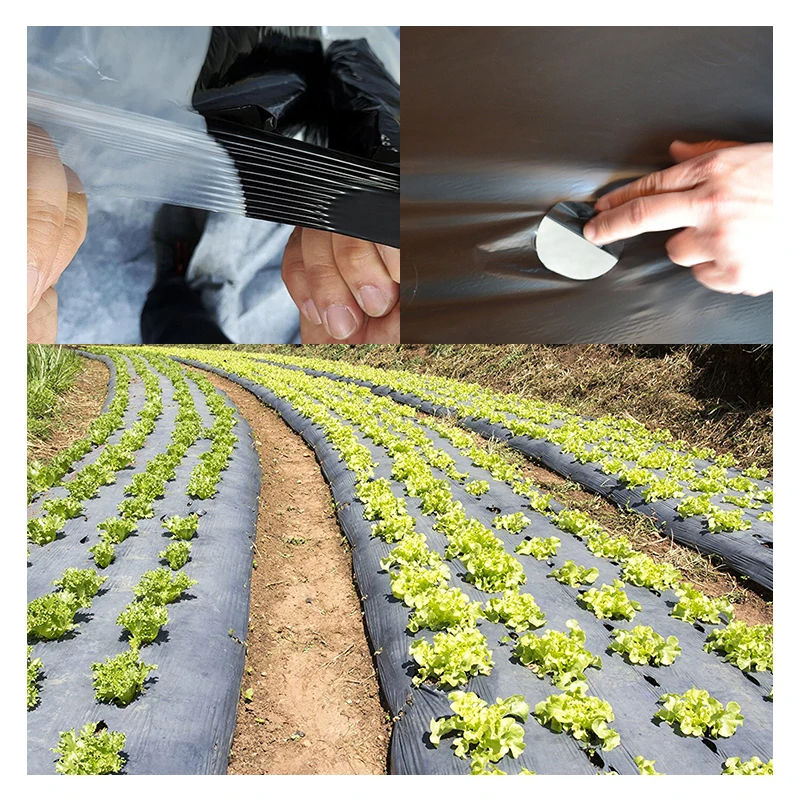 Eco Friendly Black/silver PE Plastic Mulch Film for Agriculture