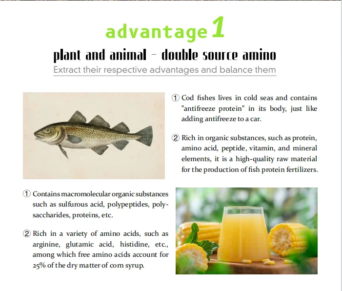 Organic Liquid Fish Protein Amino Acid Fertilizer| Alibaba.com