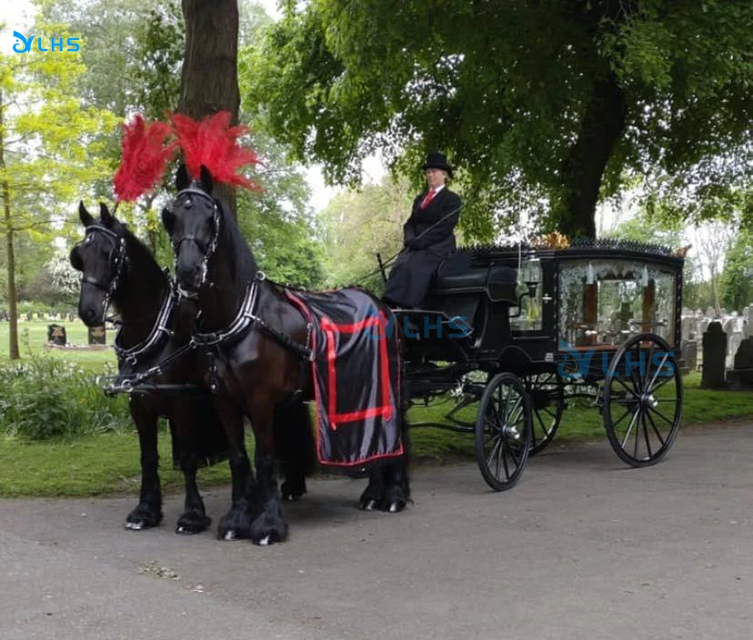 New Design Glass Horseless Hearse Carriage Horse Hearse Factory ...