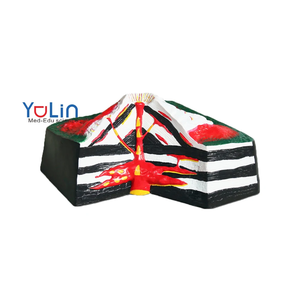 Educational Geographical Model of Valcano PVC Volcano Model Model of ...