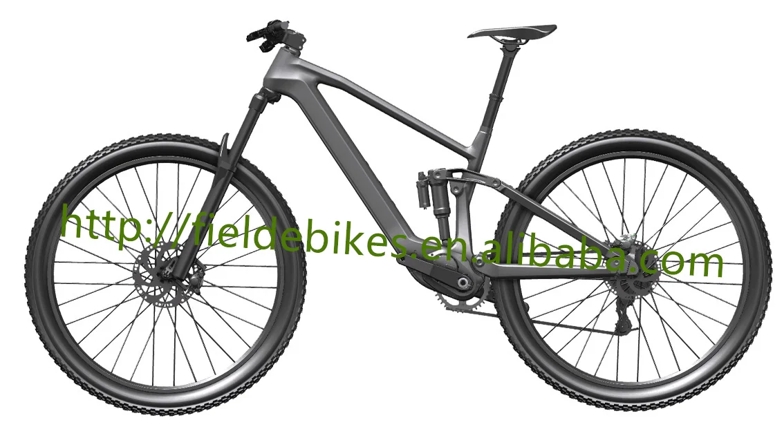 29er Carbon E-Bike Frame with Bafang M820 250W Kit & 410Wh Battery ...
