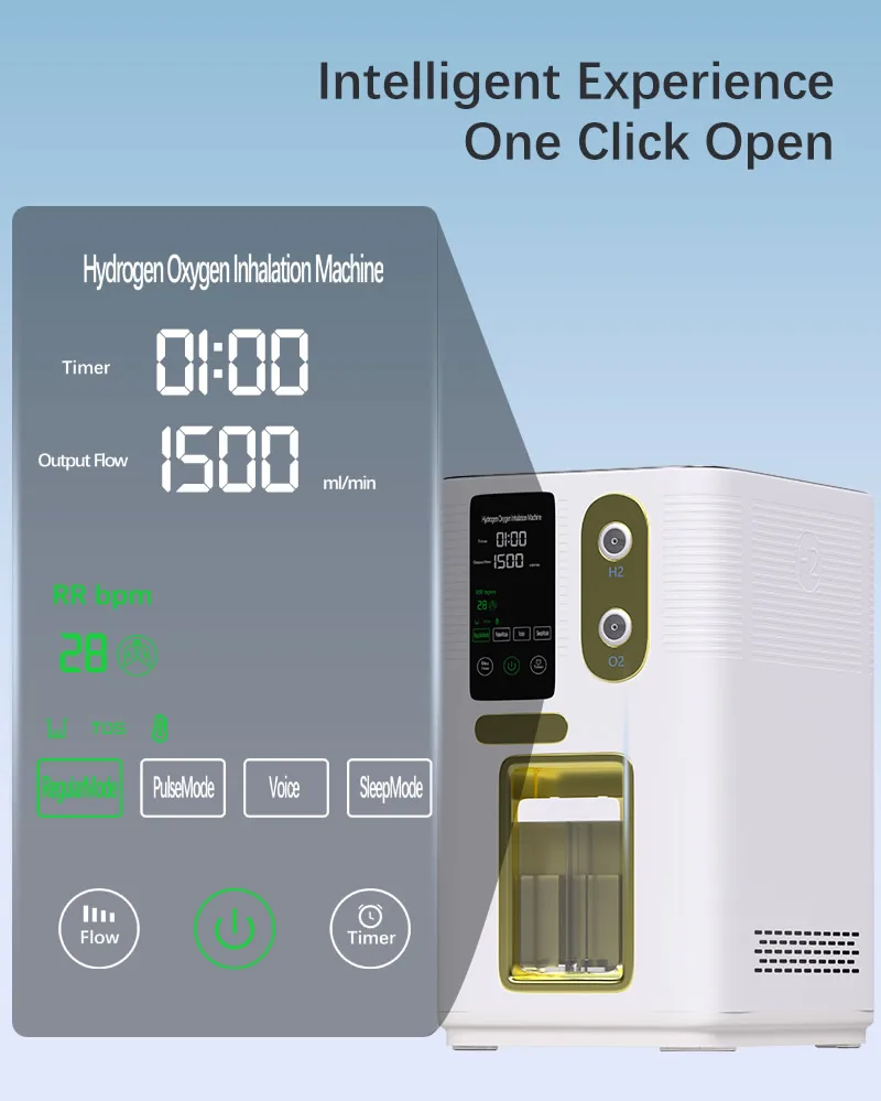2400ml/min Hydrogen Generator Hydrogen Inhalation Machine Hydrogen ...