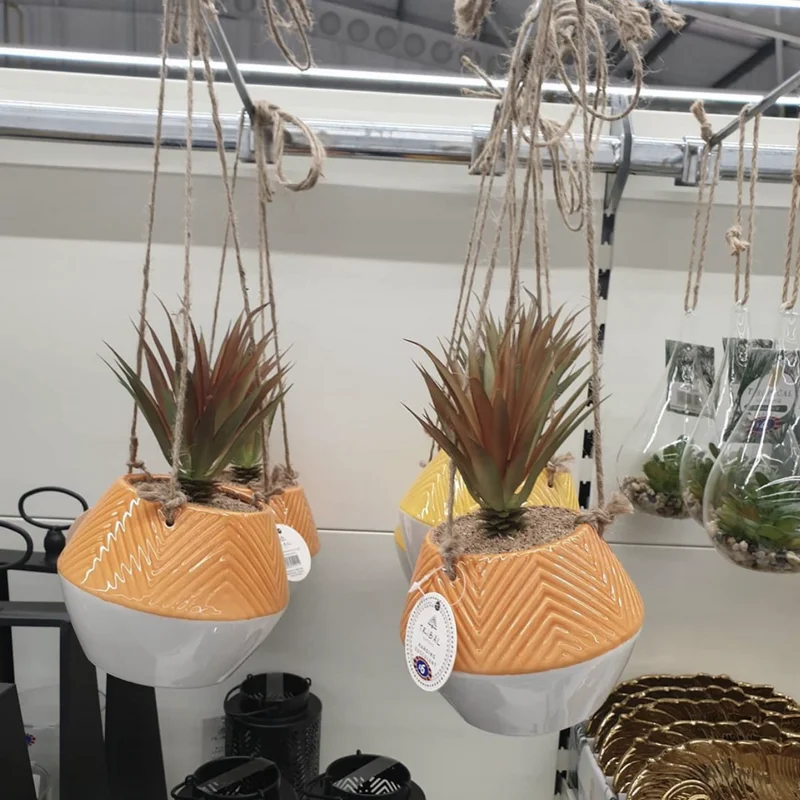Hanging Flower Pot Png