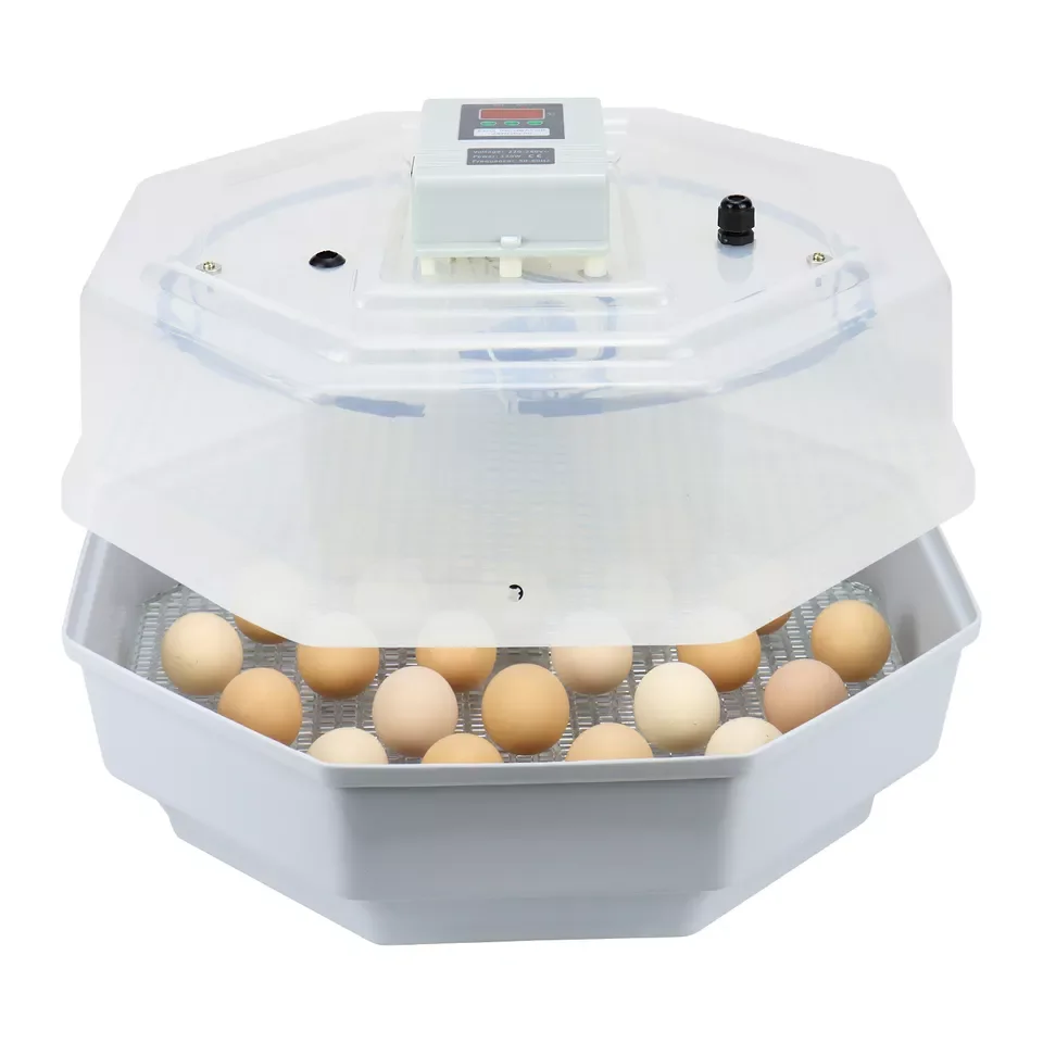 Quail Egg Incubators