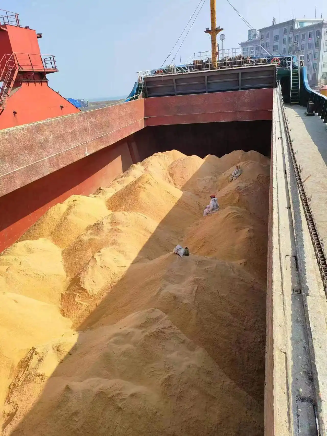 Cheap Corn Gluten Feed Bulk Yellow Maize Corn Chicken Meal Feed Corn ...