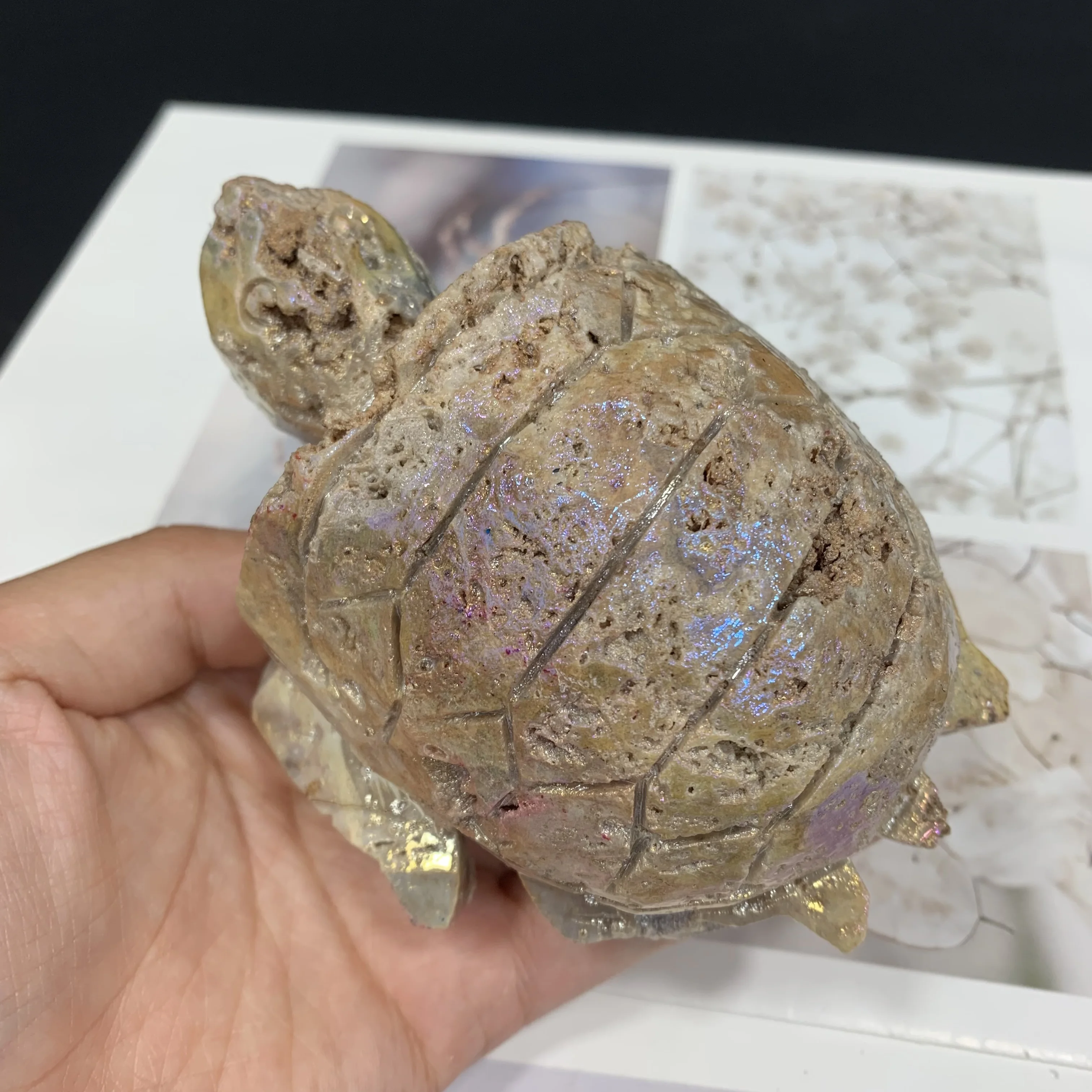 Wholesale Hand Carved Natural Crystals Turtle Aura Sphalerite Turtle ...