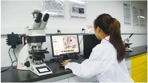 Bop Handling System Inside The Substructure - Buy Bop Handling System ...