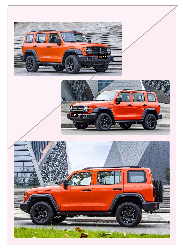 High Quality Gasoline New Cars Tank 300 From China Trade Supplier with ...