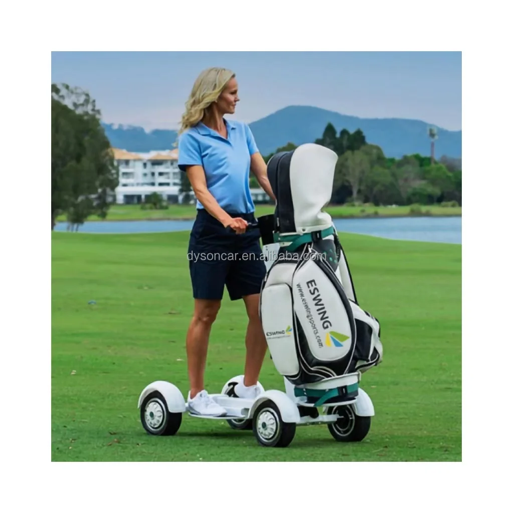 4 Wheel Golf Buggy Electric Scooter 2000W Skate Mini Golf Car Electric ...