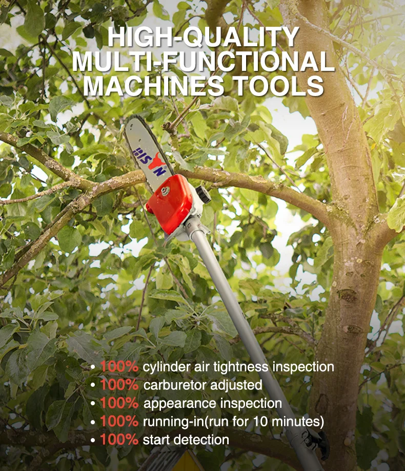 BISON Multifunction Grass Brush Cutter Weed Wacker Eater Pole Saw ...