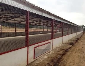 Poultry Farming - Efficient Hangar for Chicken Production