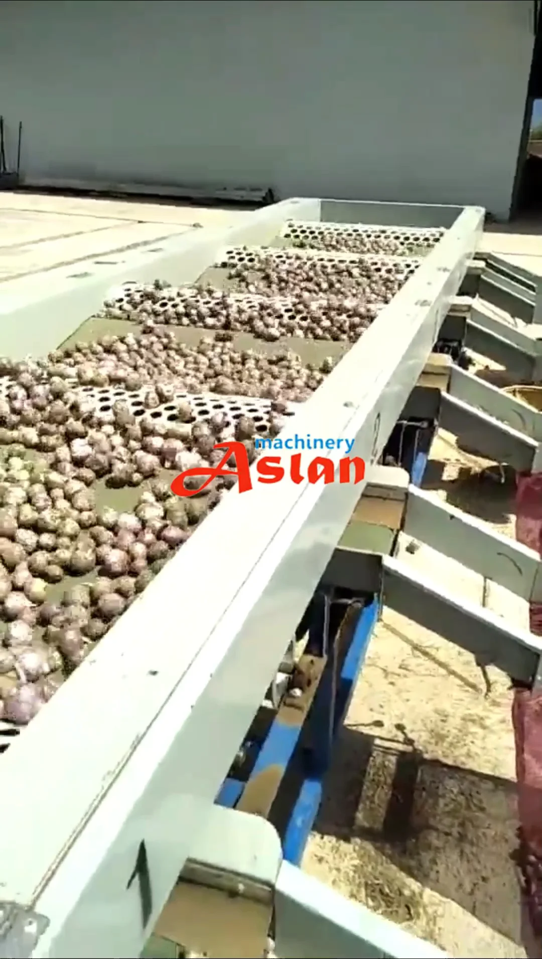 Onion Garlic Size Sorting Grading Classifying Machine - Buy Onion ...
