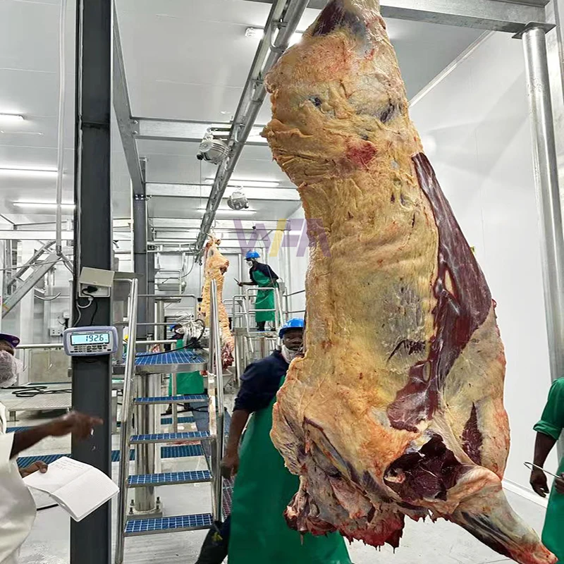 Commercial Lamb Halal Cow Slaughterhouse Bull Abattoir Machine for ...