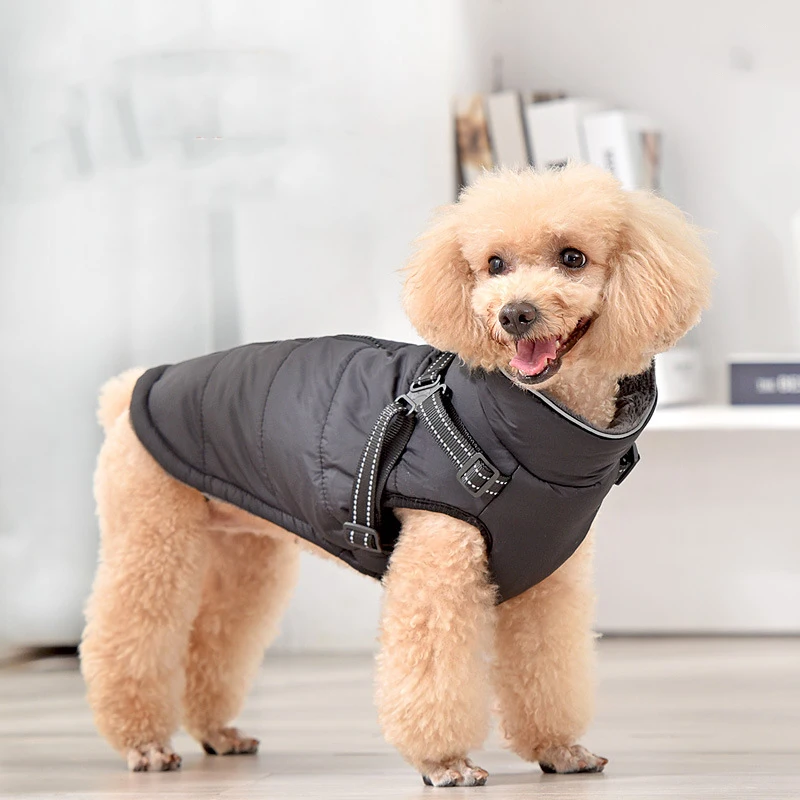 Gaosheng Winter Thermal Reflective Traction Structure Dog Clothing Vest ...