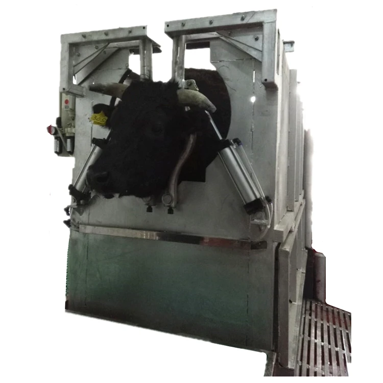 Halal & Kosher Cow Slaughtering Equipment - Efficient Cattle Butchering ...