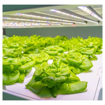 Customized Full Spectrum Led Clone Tube High Ppf Grow Lights For Indoor ...