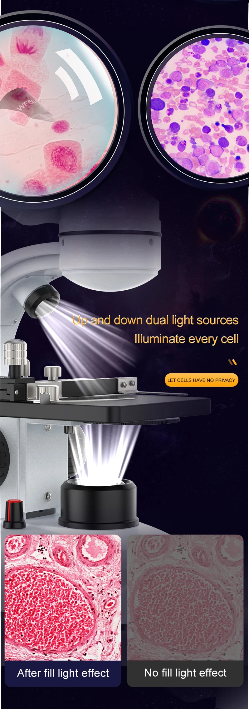 HD LED Light Binocular Microscopes for Lab & Education