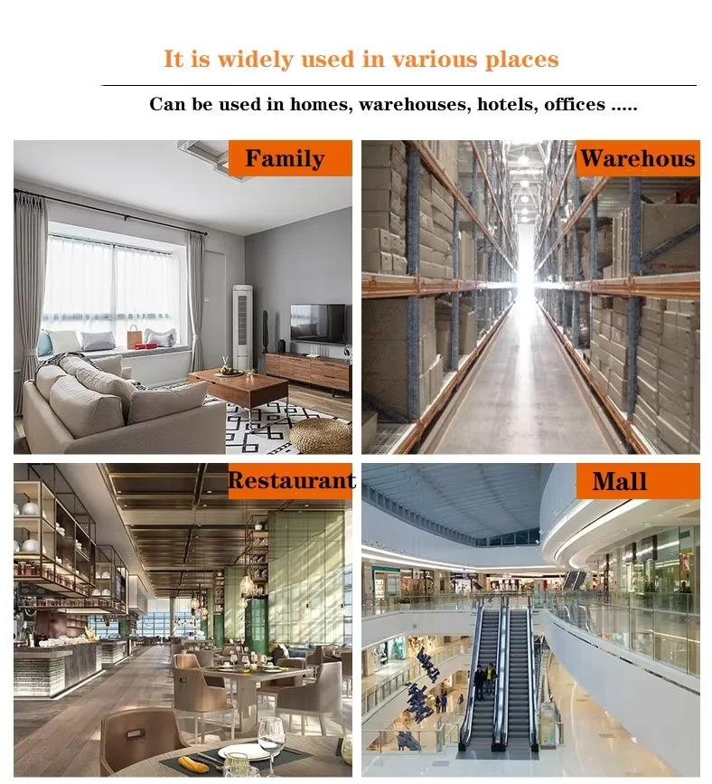 High Quality Indoor/Outdoor Mouse Traps-Humane Catch and Release for ...