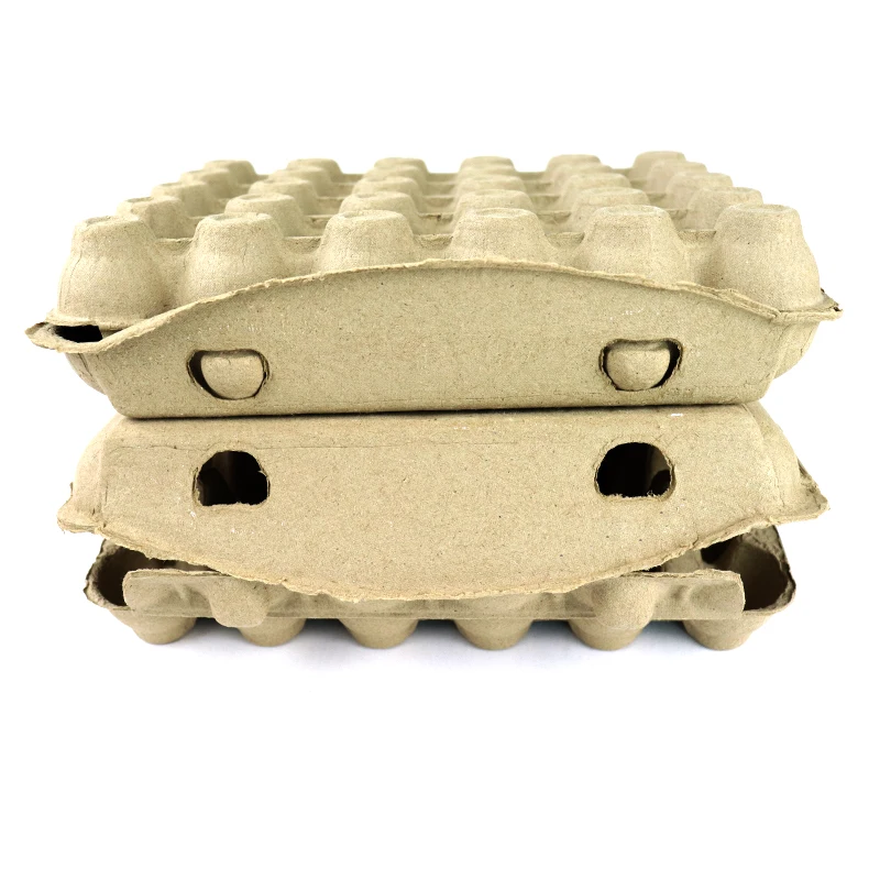 Custom Egg Packing Box - Durable, Biodegradable, and Versatile