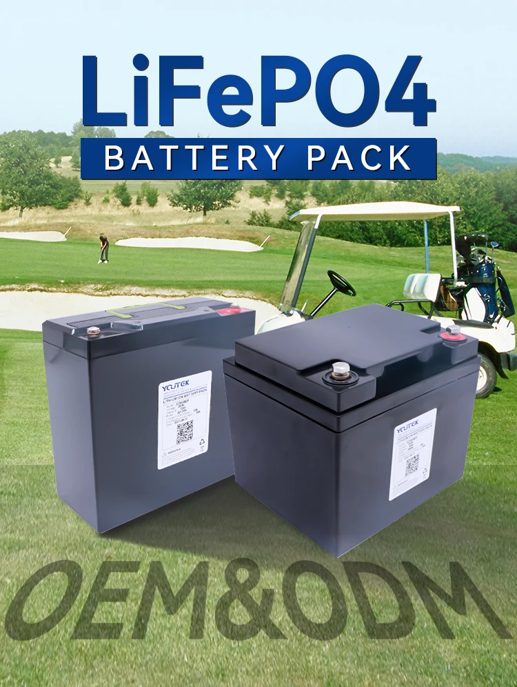 Wholesale Lithium Ion Battery Pack 12v 24v 48v 100ah 200ah 300ah ...