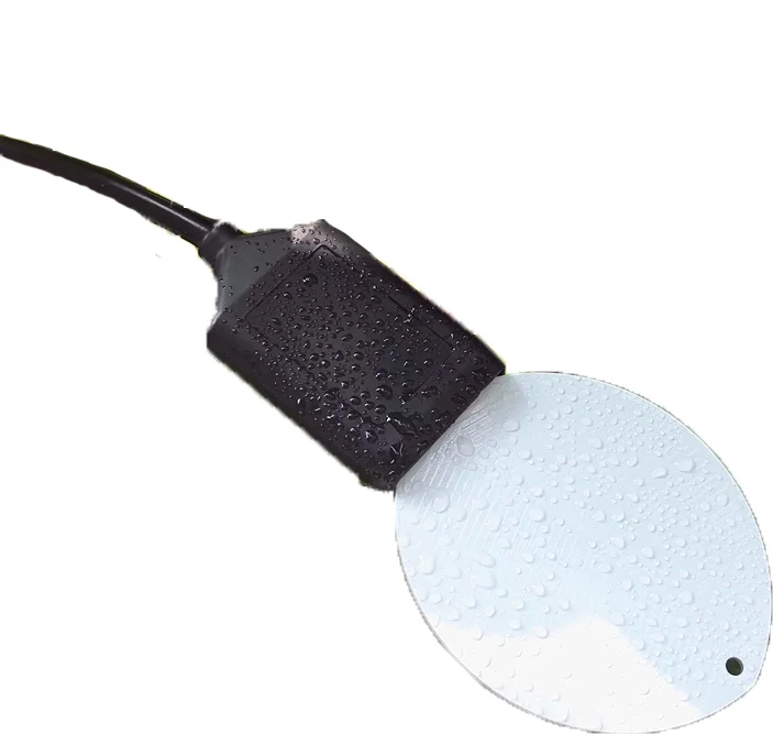 Cdw-22a Qualified Multiple Signal Output Leaf Wetness Dielectric Sensor ...