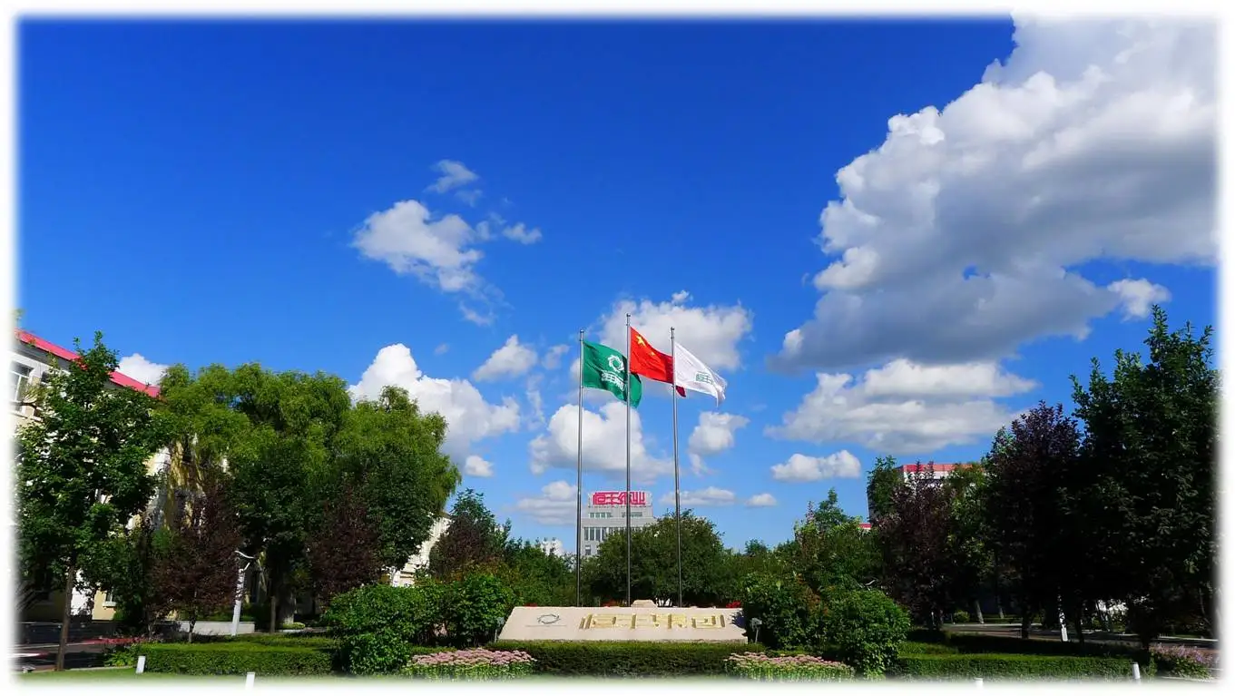 Mudanjiang Hengfeng Paper Co., Ltd. - Thin Printing Paper, MG Paper