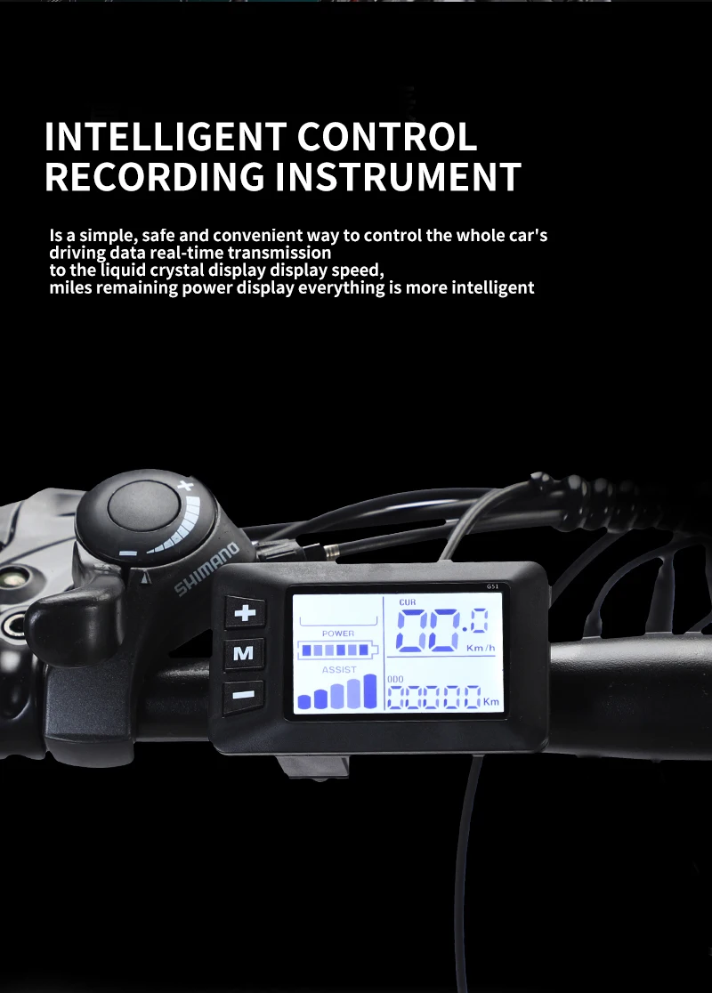 Frike Ebike - Adult Electric Bicycle with 21 Speed Gears