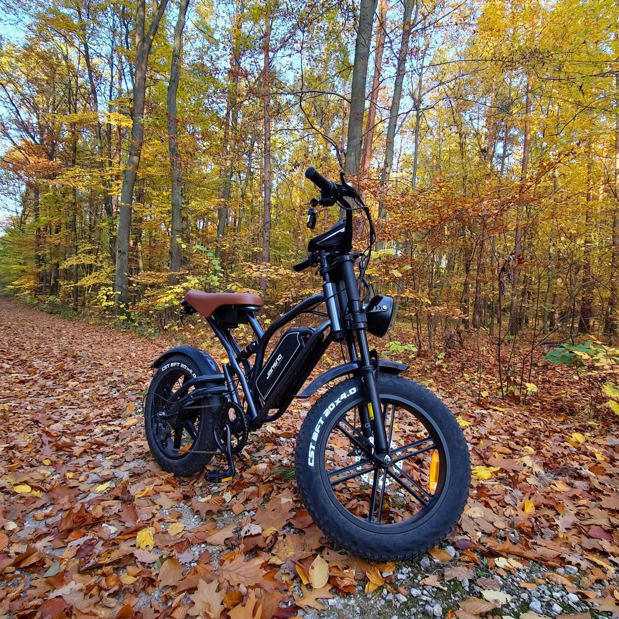 Jansno X50 Electric Bike - 7 Speed, 48V, 14ah Battery