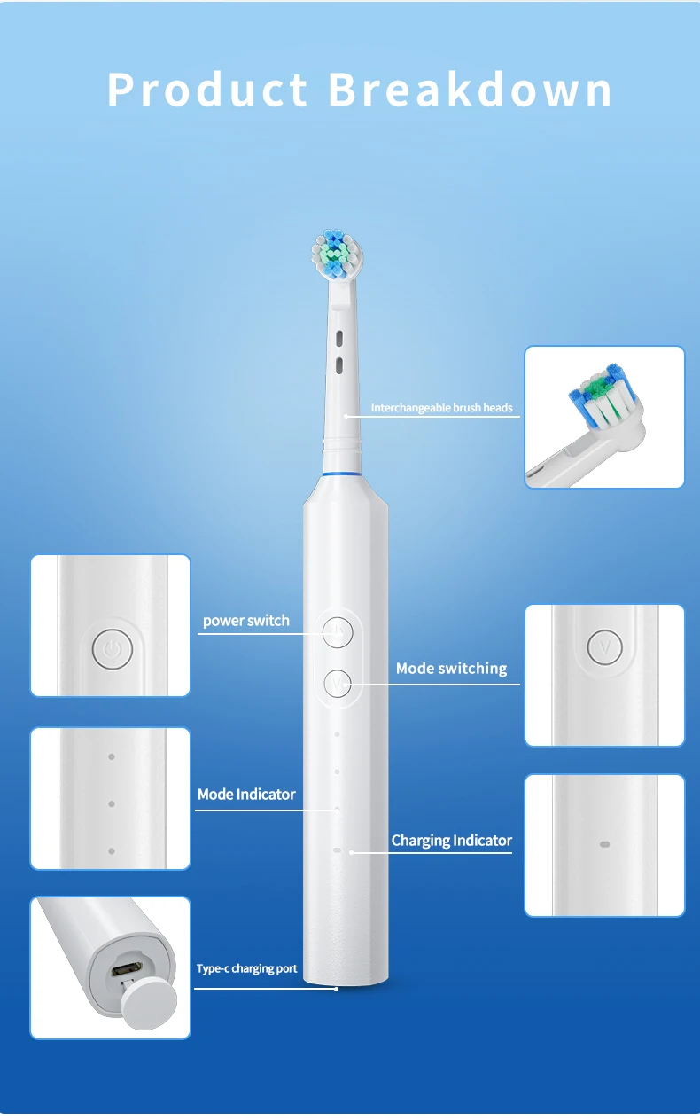 Wholesale Oem Sonic Round Head Electric Toothbrush with 2 Brush Heads ...