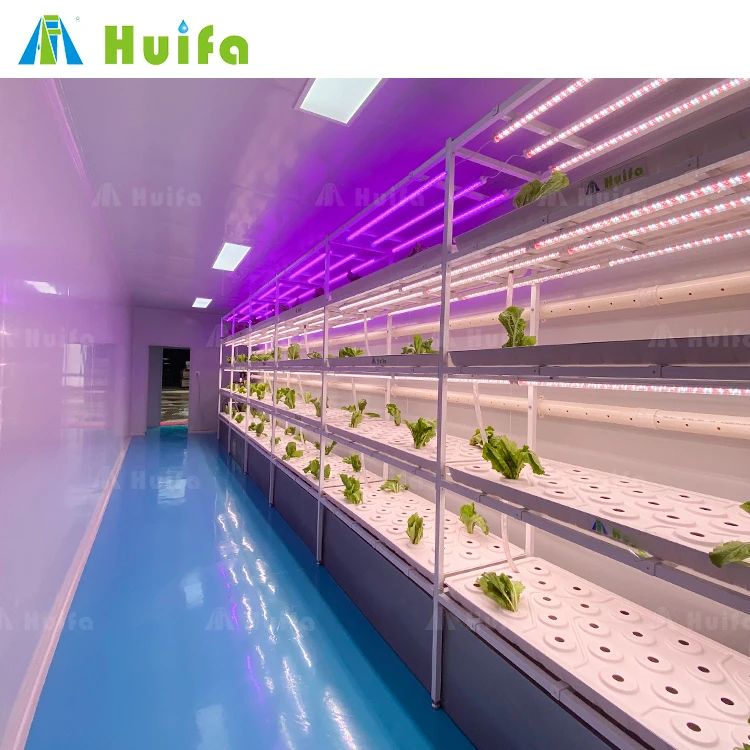 Container Farm Hydroponics Growing System 40hq Smart Indoor Vertical ...