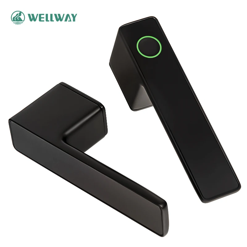 Wifi Mobile Phone Wooden Door Entrance Remotely Fingerprint Sensor ...