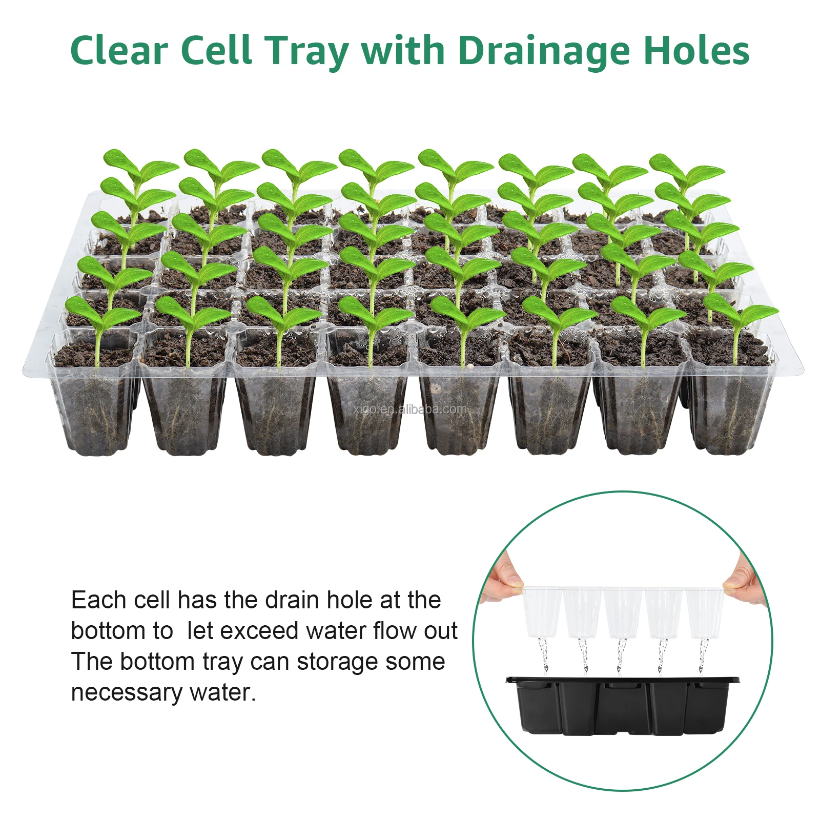 40 Cells Sapling Germination Kit for Seeds' Starting Tray With ...
