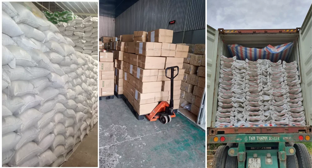 Vietnam Wooden Chips for Pulp and Biomass Fuel - Ready to Ship