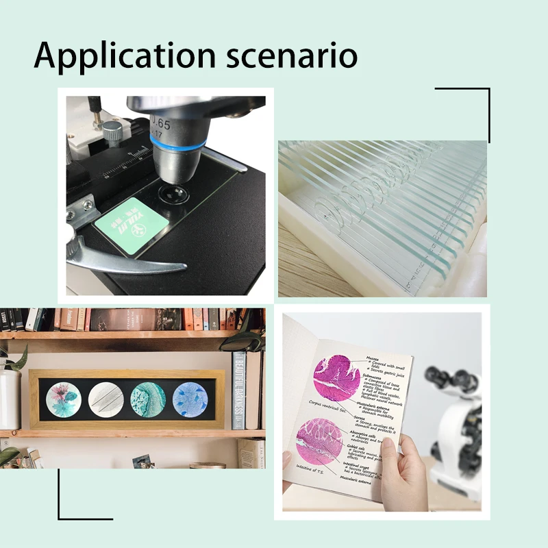 Medical Science Mammal Histology Slides Individual Microscope Prepared ...